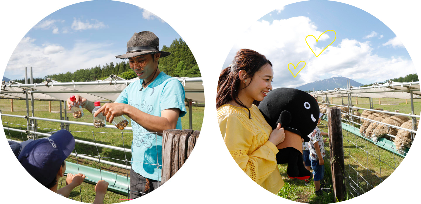 Let’s go meet the animals! Koiwai Farm | Special Trip Features | Iwate ...